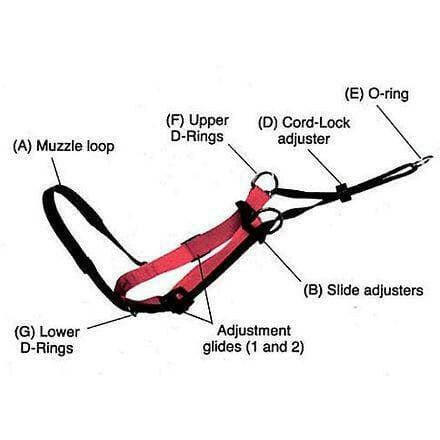 Dog Walking Harnesses & Tools - Dog Correction Tools - Pet Essentials