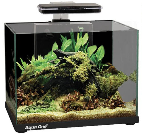 Aqua One Focus Tank & Replacement Parts Accessories