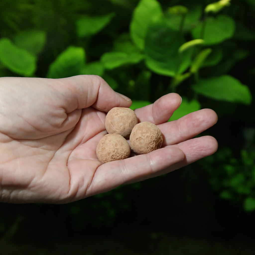 JBL Kugeln Fertiliser Root Balls - Plant Root Tabs - Pet Essentials