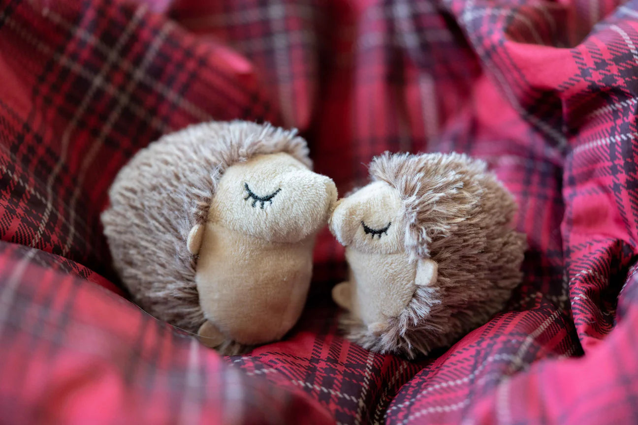 Feline Frenzy Mama & Chip Hedgehog Cat Toy - Pet Essentials Warehouse